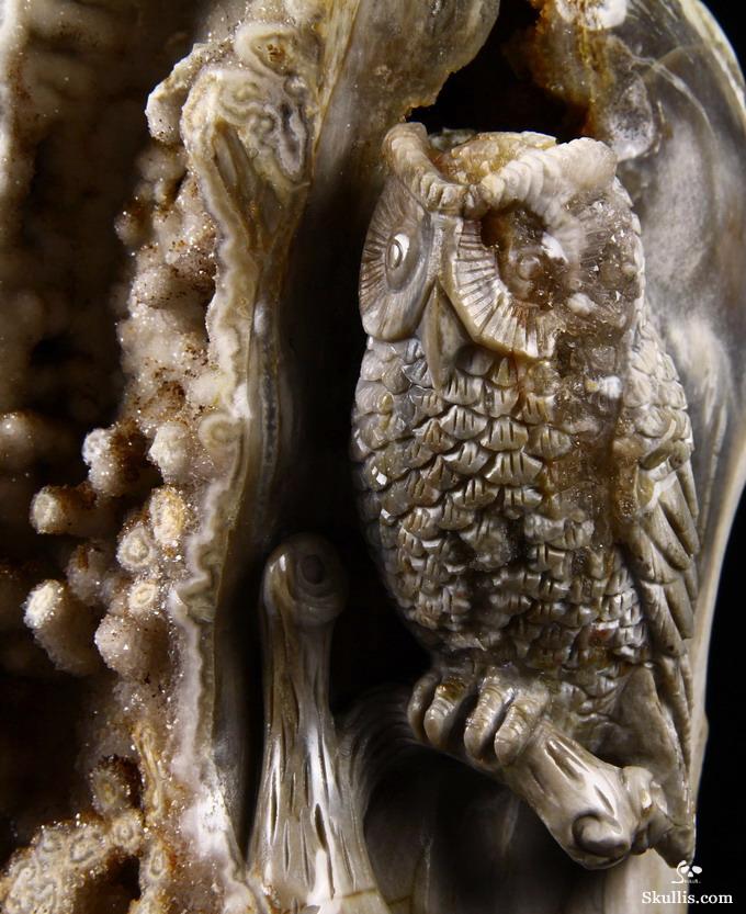 Feb 12, 2015 ACSAD (A Crystal Skull a Day) - Wisdom Through Experience ...