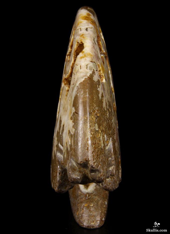 Jan 19, 2015 ACSAD (A Crystal Skull a Day) - The Queen of Kings ...