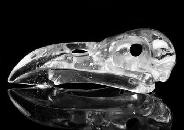 Clear Quartz Rock Crystal Carved Crystal Raven Skull Pendant - Skullis ...